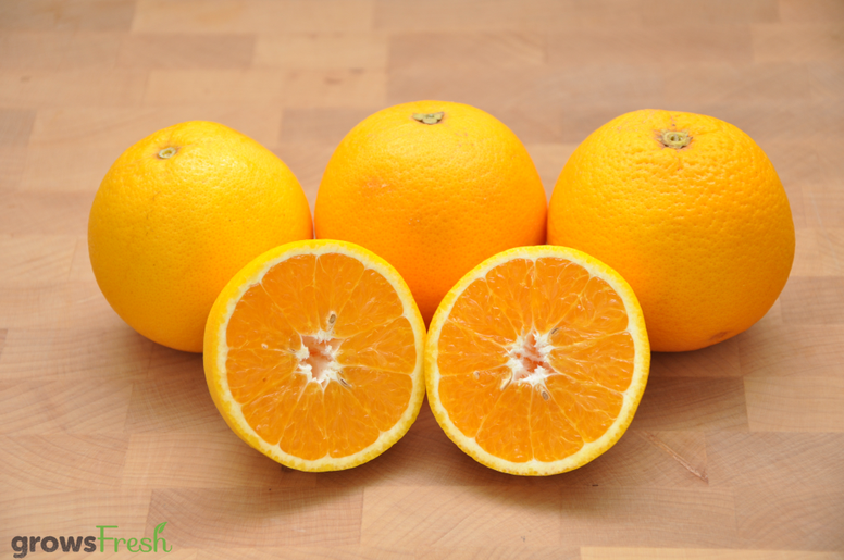 Organic Oranges - Bulk 3kg Bag - Australian – growsFresh
