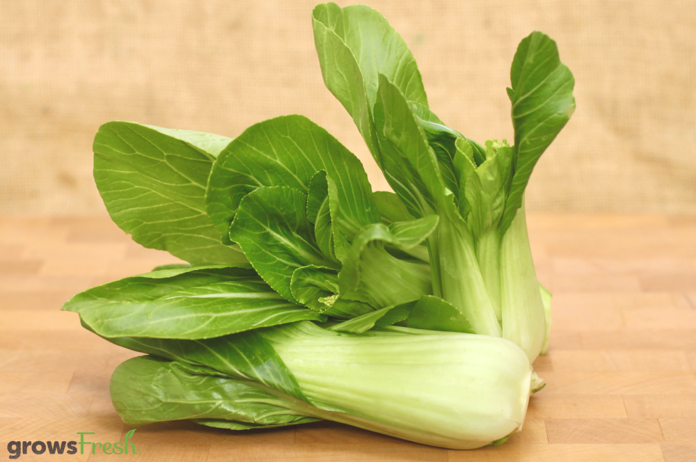 Organic Pak Choy - Australian – growsFresh