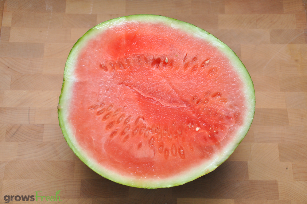 Organic Watermelon - Australian – growsFresh